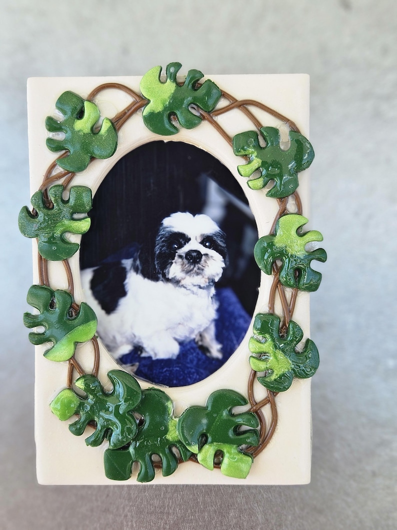 Monstera Plant Polaroid Magnet Frame - Cute Fridge Decor & Gift for ...