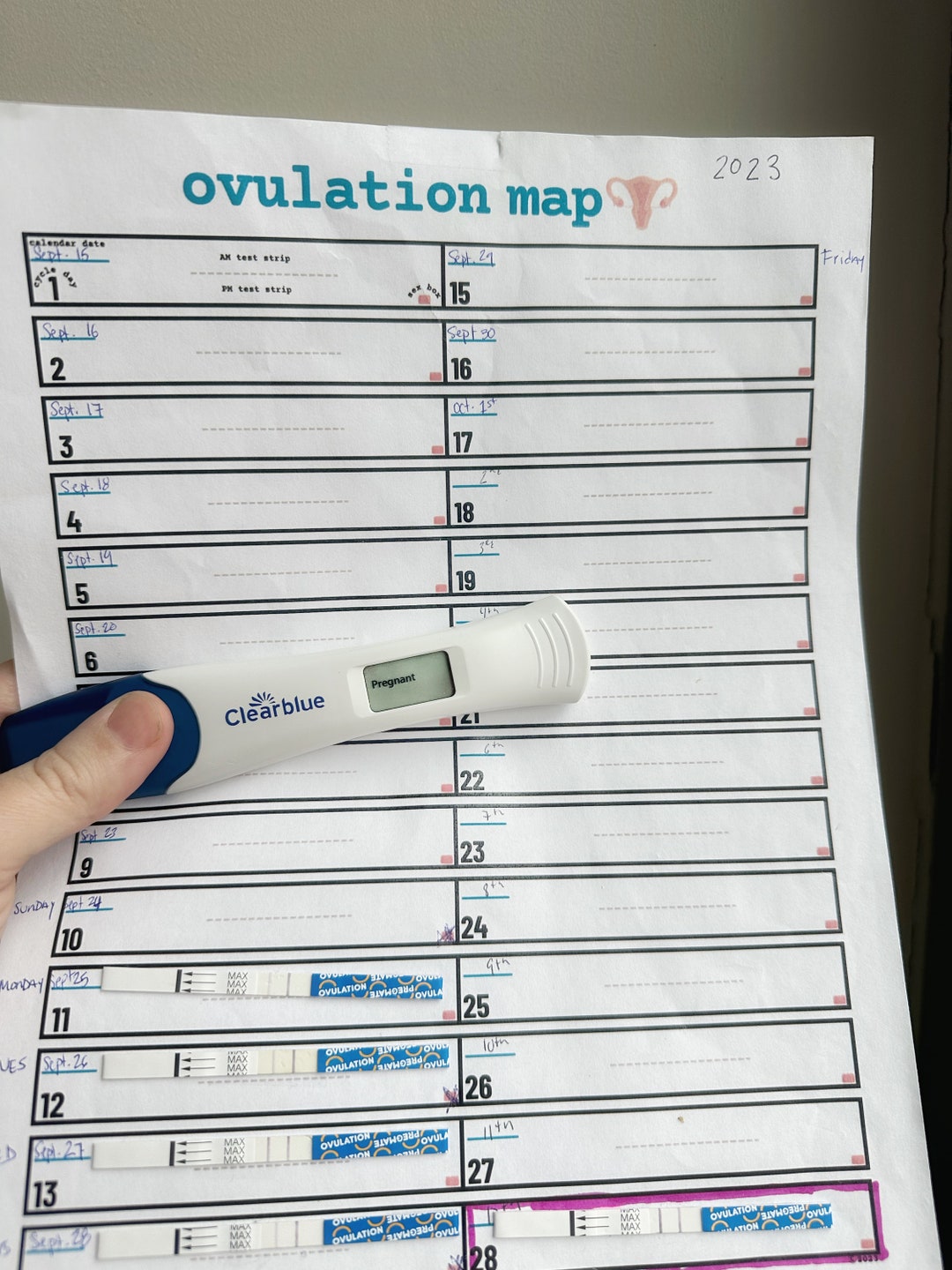 How I Got Pregnant - Ovulation Map Worksheet - Ovulation Tracker ...