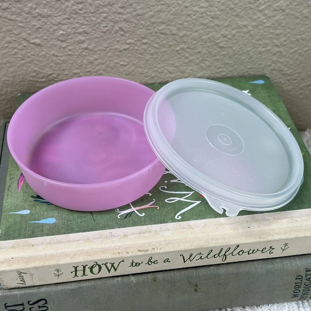 Tupperware 1286 Little Wonder Storage Snack Bowl Pink - Etsy