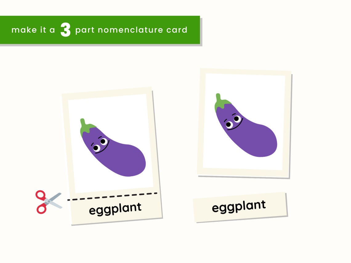 Printable Flash Card for Kids Montessori Materials Preschool Curriculum ...