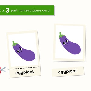 Printable Flash Card for Kids Montessori Materials Preschool Curriculum ...
