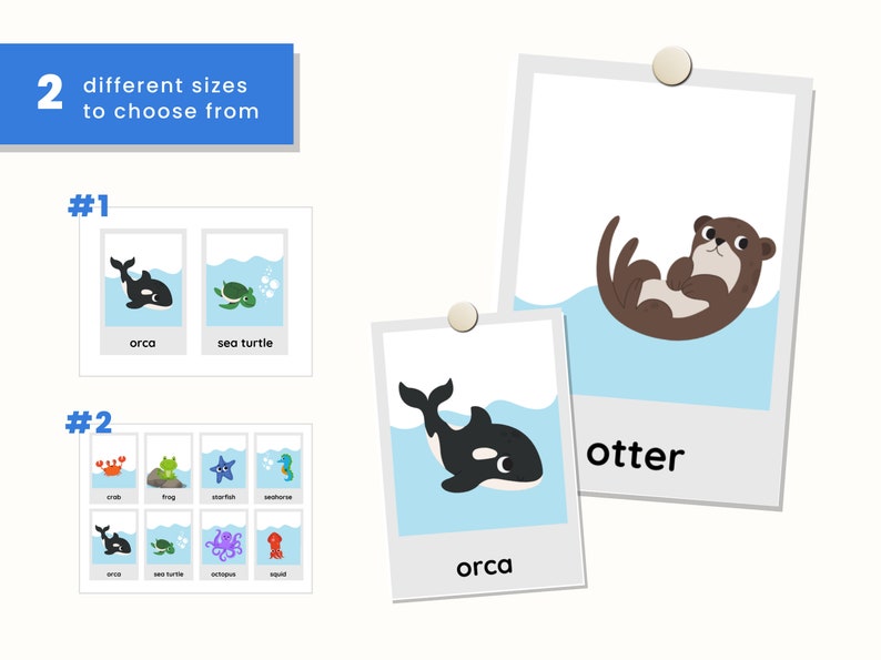 Printable Flash Cards for Kids, Ocean Sea Animal, Montessori Material ...