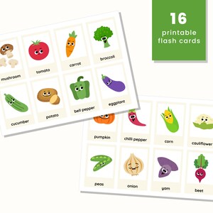 Printable Flash Card for Kids Montessori Materials Preschool Curriculum ...