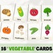 Printable Flash Card for Kids Montessori Materials Preschool Curriculum ...