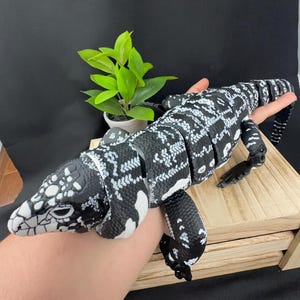 3D Printed Articulating Tegu Lizard - Realistic Reptile Decor, Custom ...