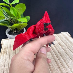 3D Printed Articulating Cardinal - Flexi Bird - 9" Wingspan - Northern ...