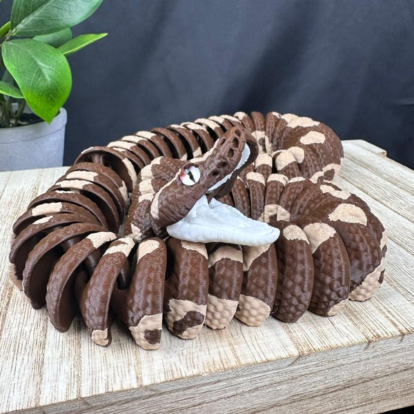 Ball Python - Etsy