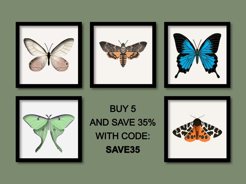 Enchanted Forest 3D Shadowbox SVG Cricut Project Instant - Etsy