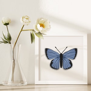 Spring Azure Butterfly Shadowbox SVG Cricut Project - Instant Digital ...