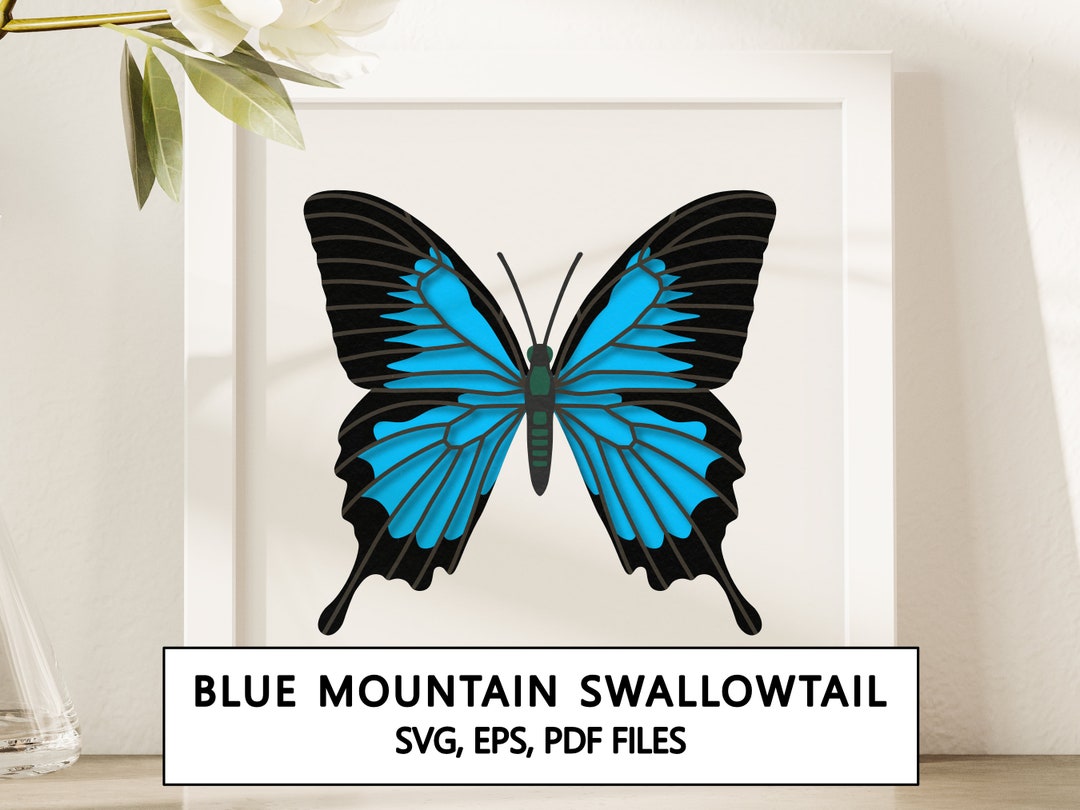 Blue Mountain Swallowtail Butterfly Shadowbox SVG Cricut Project ...