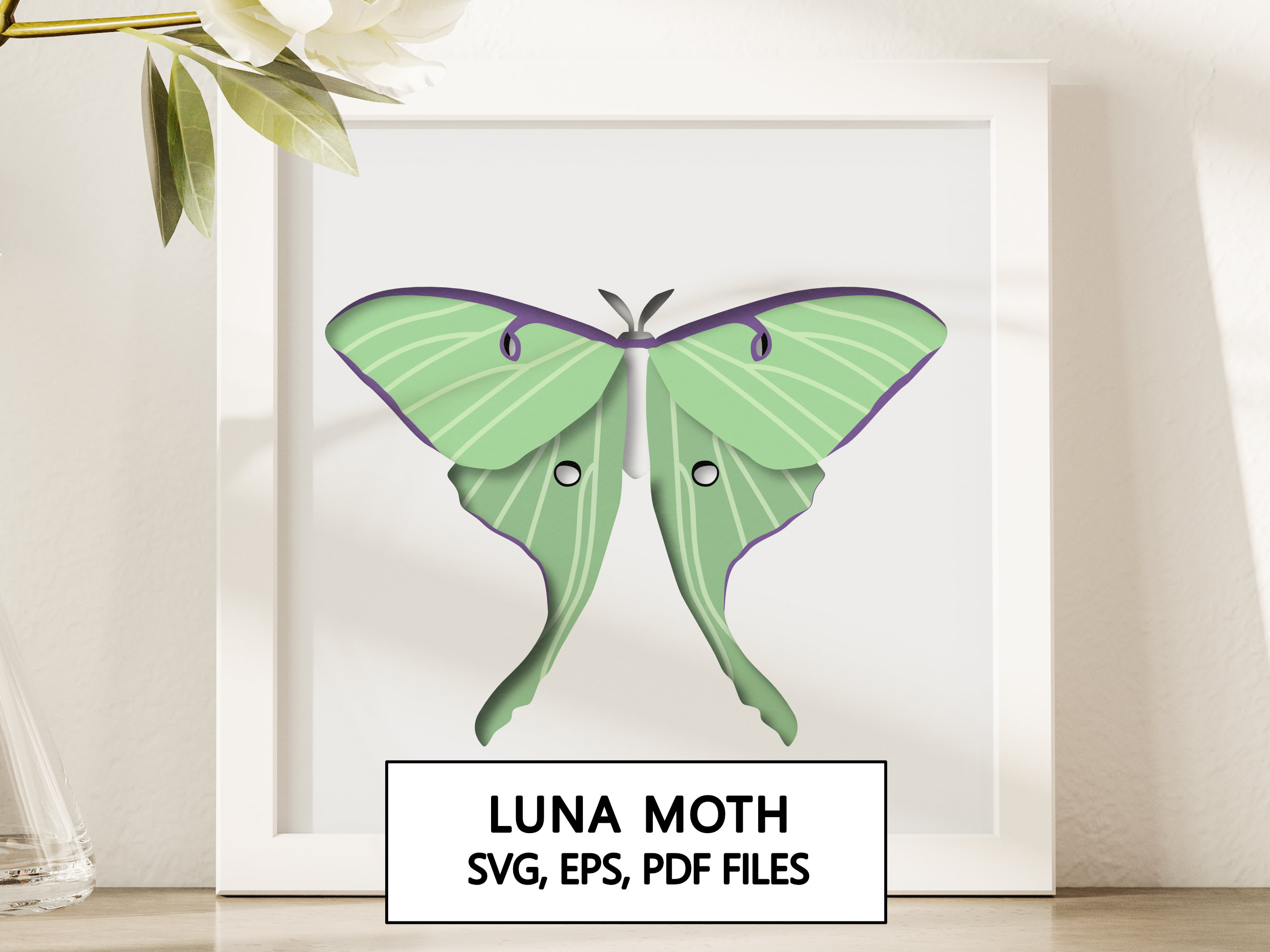Luna Moth Shadowbox SVG Cricut Project Instant Digital - Etsy