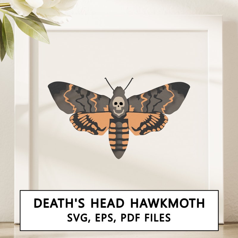Deaths Head Hawkmoth - Etsy