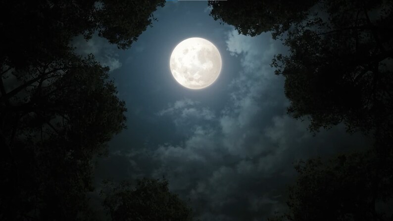 ANIMATED VIRTUAL BACKGROUND | Cozy Full Moon Woods | Vtuber Twitch ...