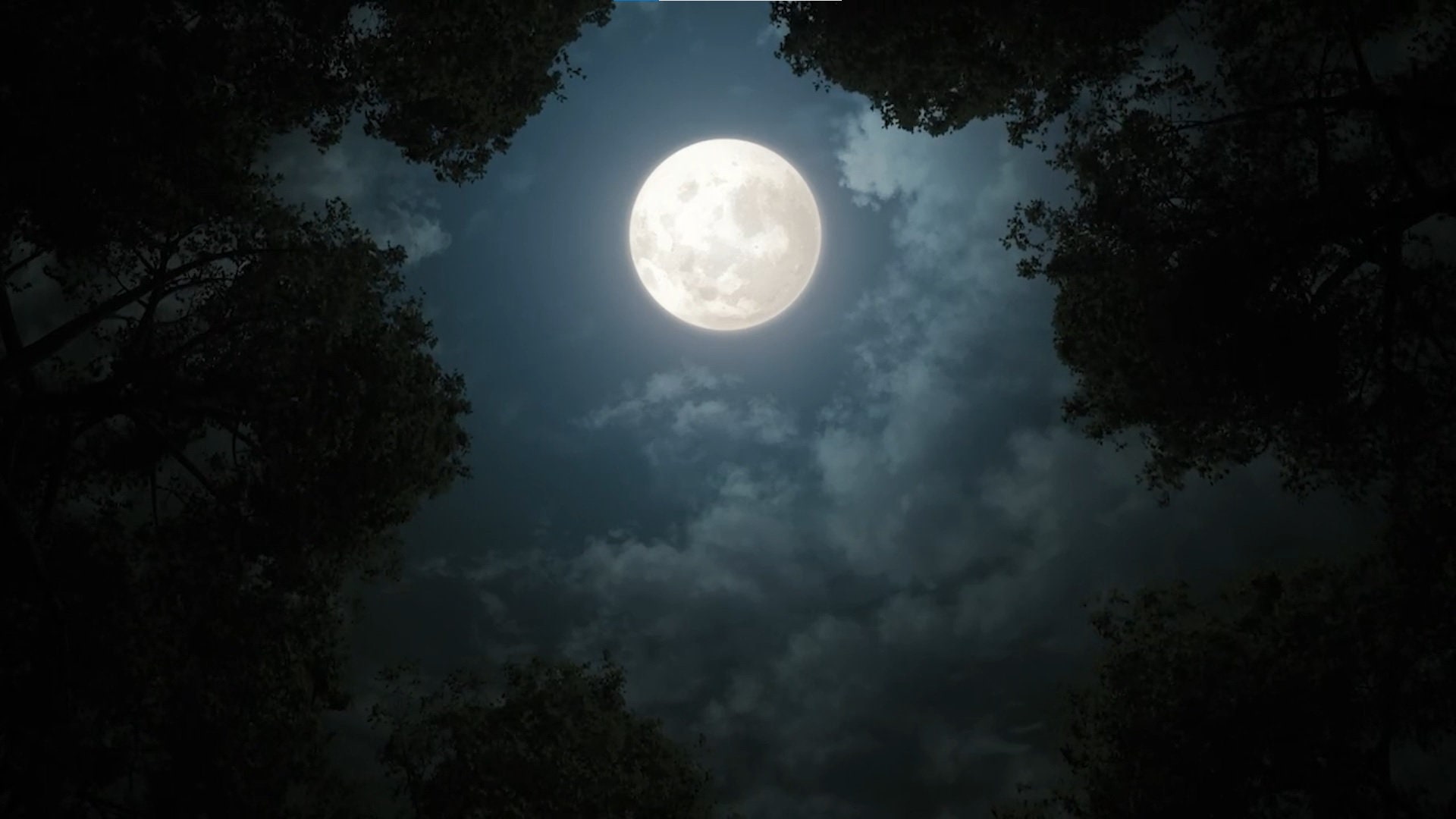 ANIMATED VIRTUAL BACKGROUND | Cozy Full Moon Woods | Vtuber Twitch ...