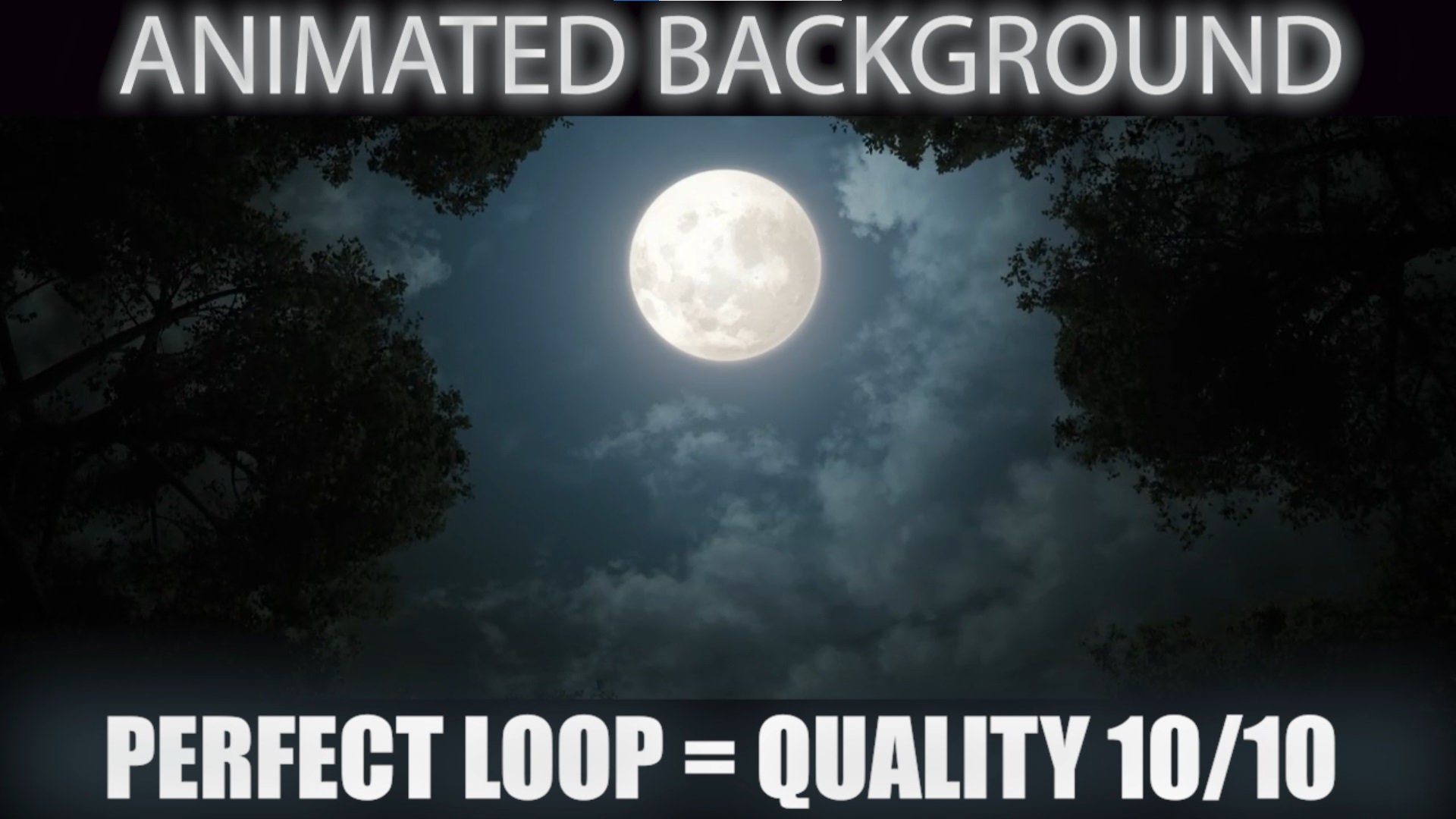 ANIMATED VIRTUAL BACKGROUND | Cozy Full Moon Woods | Vtuber Twitch ...
