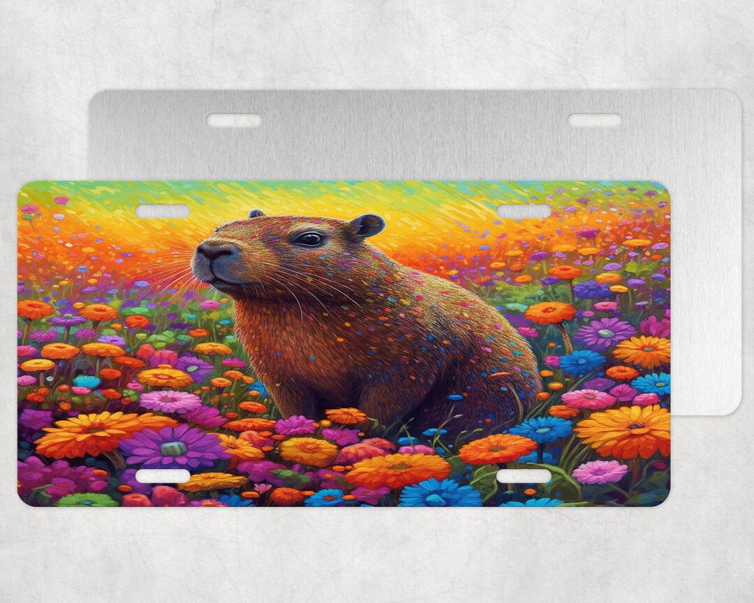Marmot License Plate,marmot,colorful Marmot License Plate,animal ...