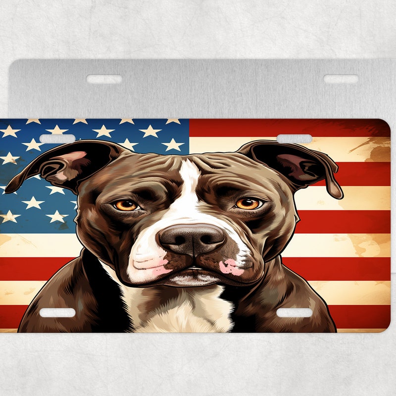 Usa License Plate - Etsy