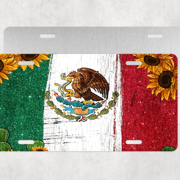 Mexican License Plate - Etsy