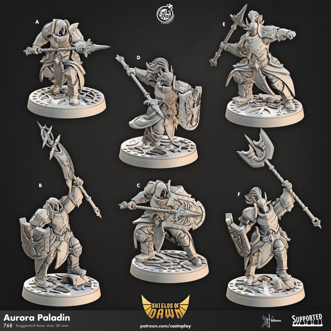 Aurora Paladin Shields of Dawn Collection 3D Resin Print D&D Pathfinder ...