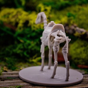 Monster Undead Skeleton Warhorse Mount - Etsy