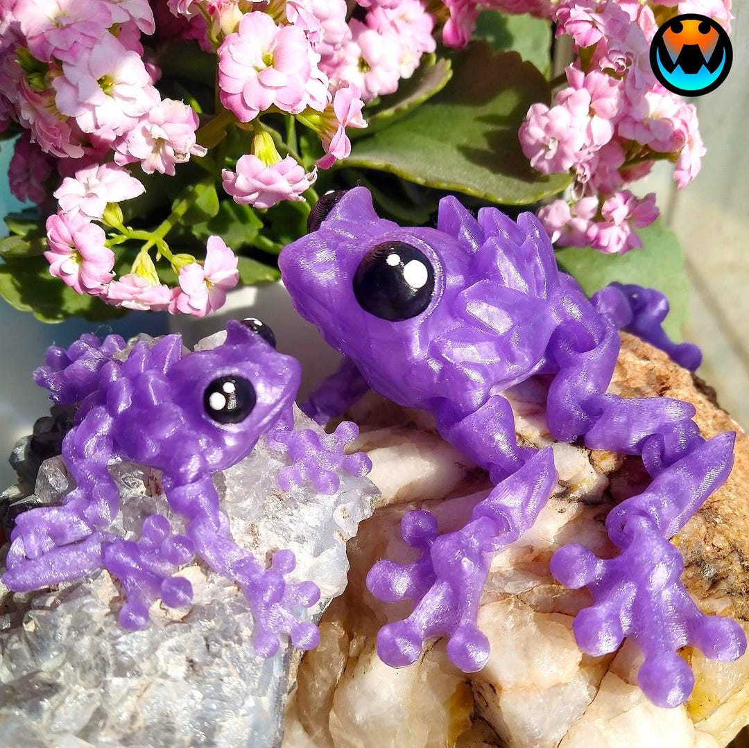 Gemstone Frog FDM Filament Articulated Flexi - Etsy