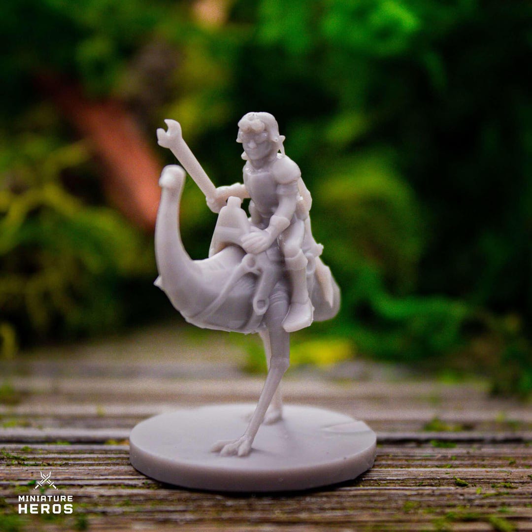 Artificer Gnome Male With Emu Defender Mount 3D Resin Print D&D ...