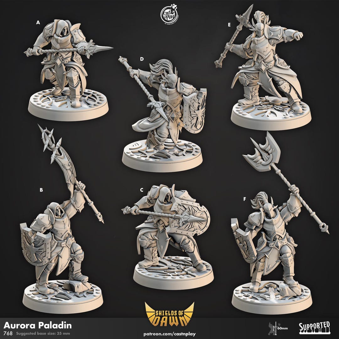 Aurora Paladin Shields of Dawn Collection 3D Resin Print D&D Pathfinder ...