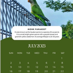 Digital Calendar, Printable Wall Calendar, Nature, Wild Life, Singapore ...