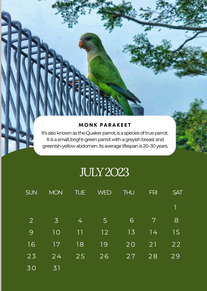 Digital Calendar, Printable Wall Calendar, Nature, Wild Life, Singapore ...