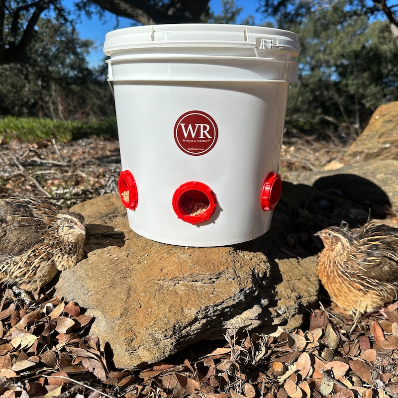 Automatic Bird Waterer - Etsy