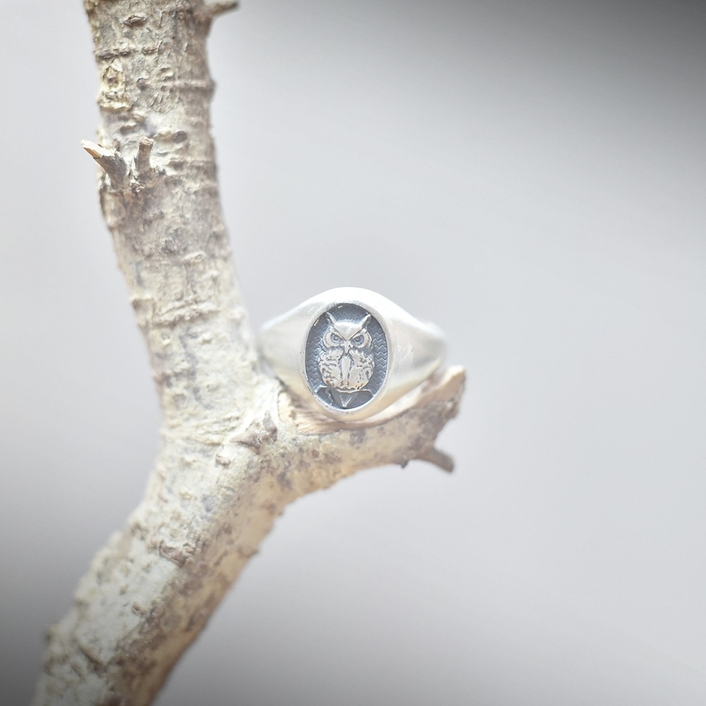 Owl Sterling Silver Ring, Silver Owl Signet Ring, Handmade Owl Ring for Men, Silver Owl Ring for ...