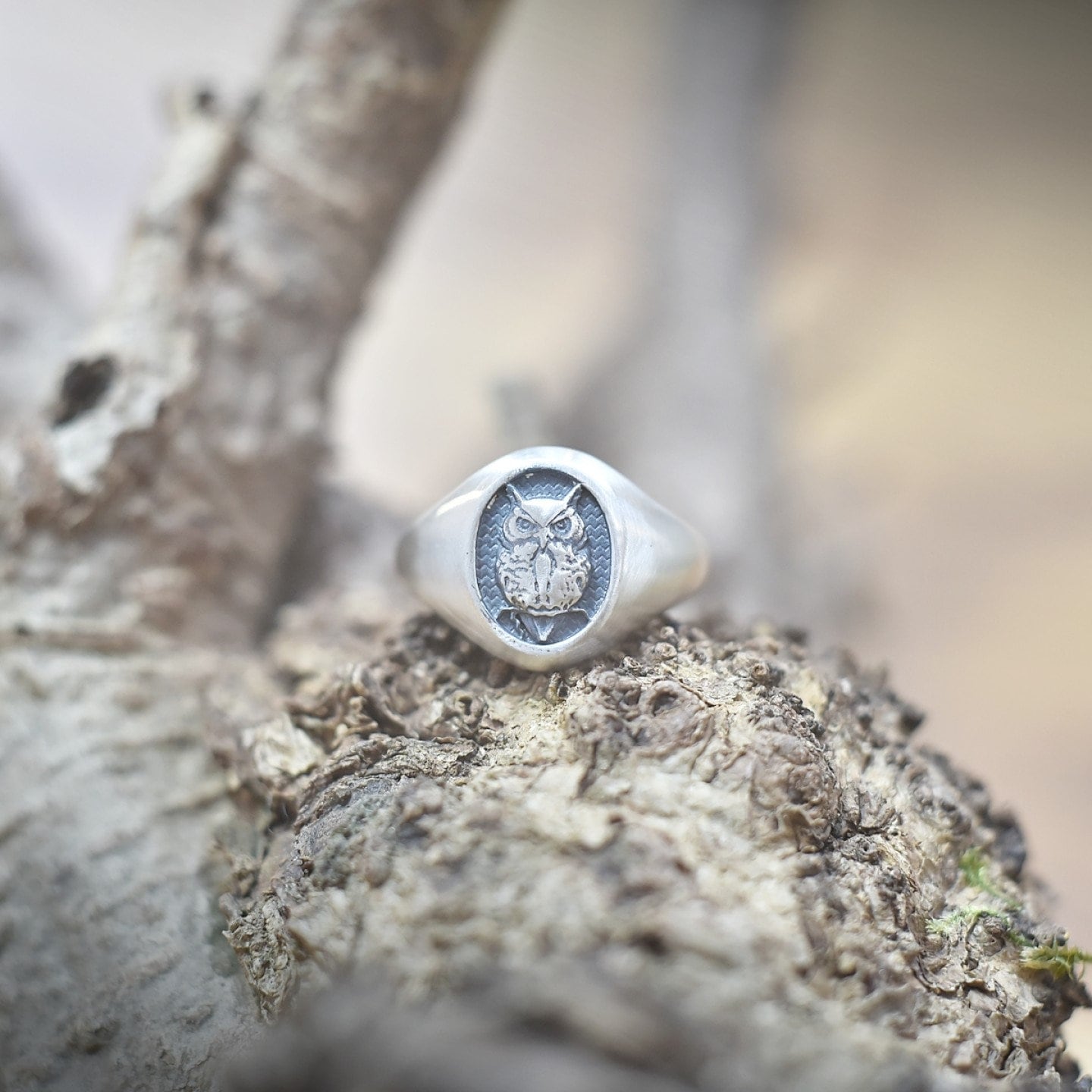 Owl Sterling Silver Ring, Silver Owl Signet Ring, Handmade Owl Ring for ...
