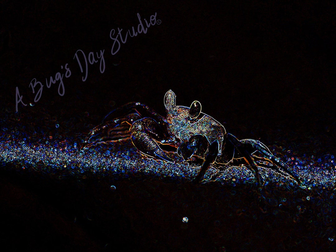 Whimsical Neon Photographs (macro Wall Art, Colourful Recolored Images ...