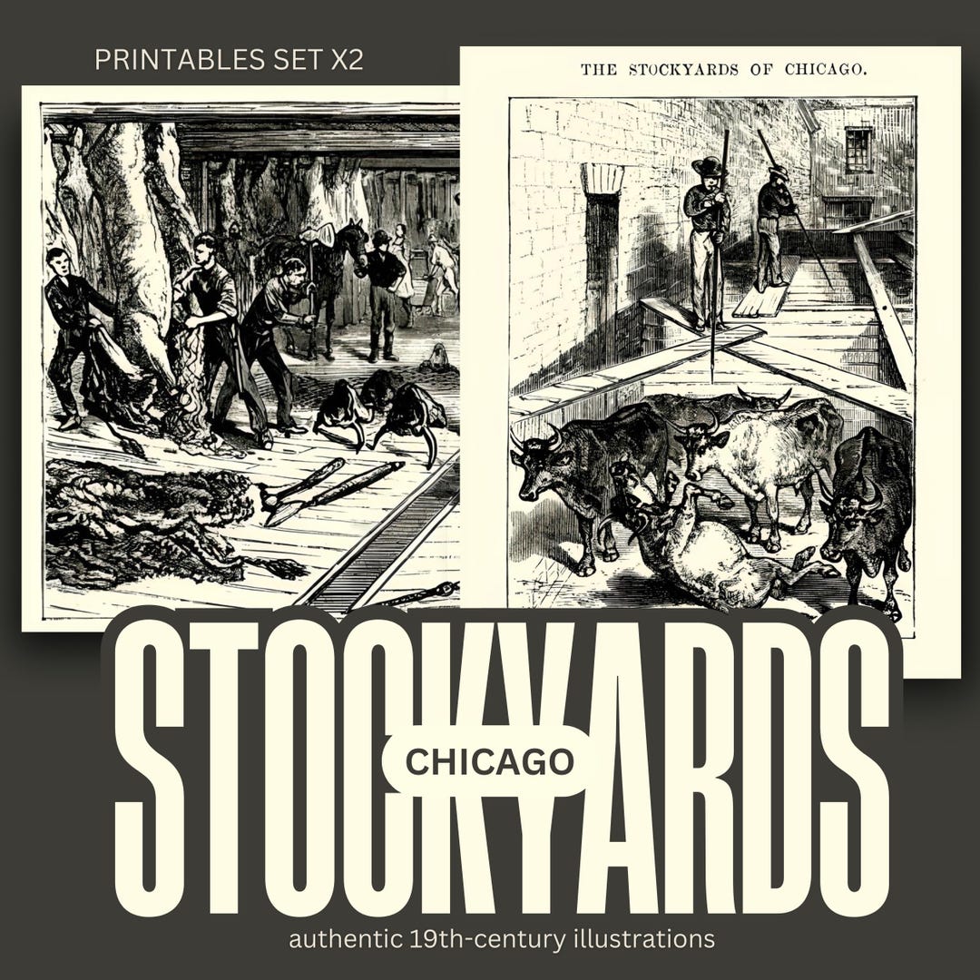 Chicago Stockyards Print Set – 19th Century Meatpacking Industry Art ...