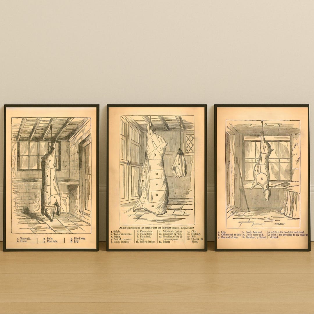 Vintage Butcher Diagram Prints – Set of 3 Meat Cut Charts | Ox Carcass ...