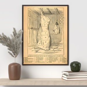 Vintage Butcher Ox Cuts Diagram Poster - Comprehensive Printable Meat ...