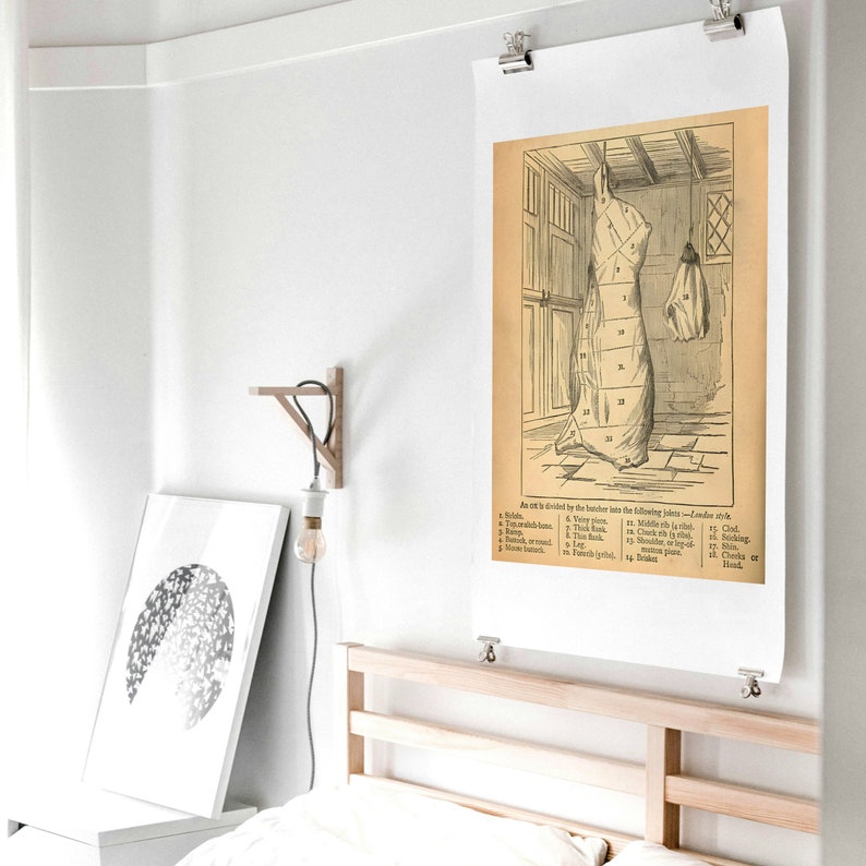 Vintage Butcher Ox Cuts Diagram Poster - Comprehensive Printable Meat ...