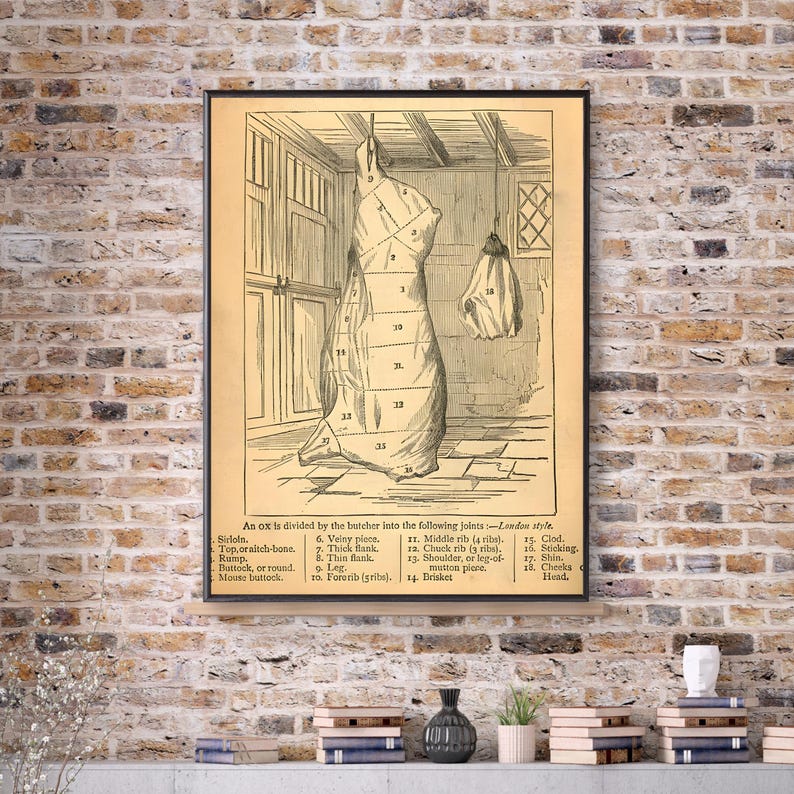Vintage Butcher Ox Cuts Diagram Poster - Comprehensive Printable Meat ...