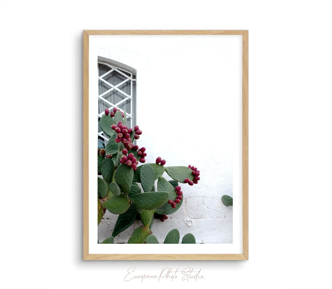 Original Prickly Pear Photo | Italian Cactus | High Contrast ...