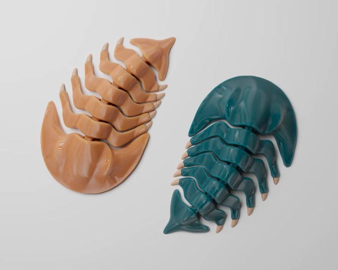 Articulated Trilobite 3D Model Digital STL File, 3D Printable Natural ...