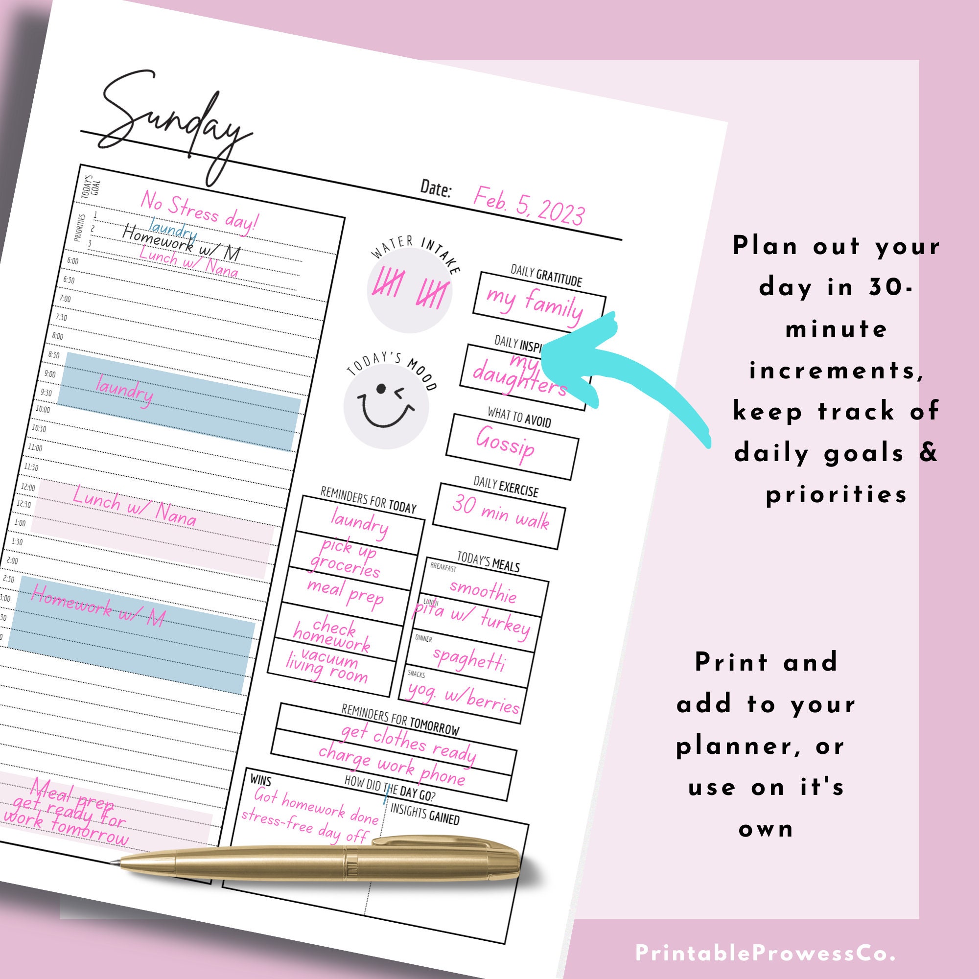 Daily Planner Printable Day Planner Daily Work Planner Hourly Planner ...