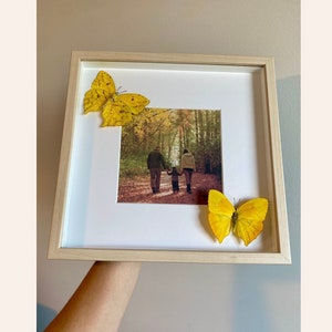 Tailed Sulphur Butterfly Photo Frame, Personalized Real Butterfly ...