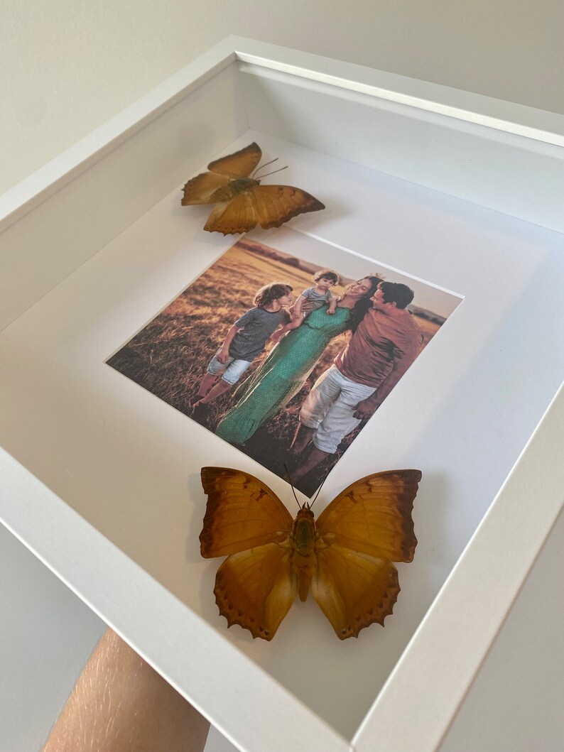 Leafwing Butterfly Photo Frame Personalized Picture Frame - Etsy