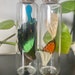 Large Butterfly Wings in Glass Curio Bottle, Real Butterfly Wing Vial ...