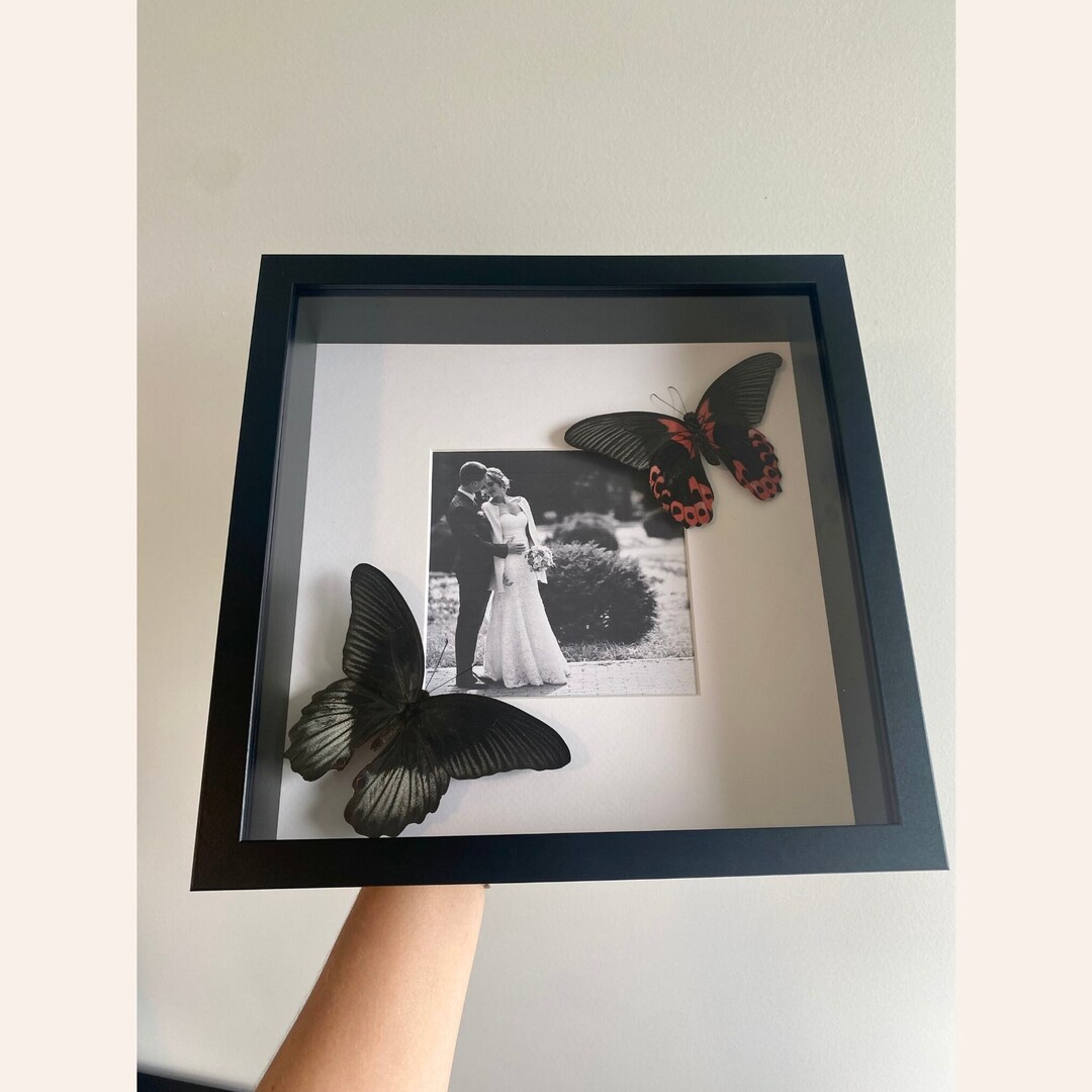 Scarlet Mormon Butterfly Photo Frame, Large Personalized Picture Frame ...