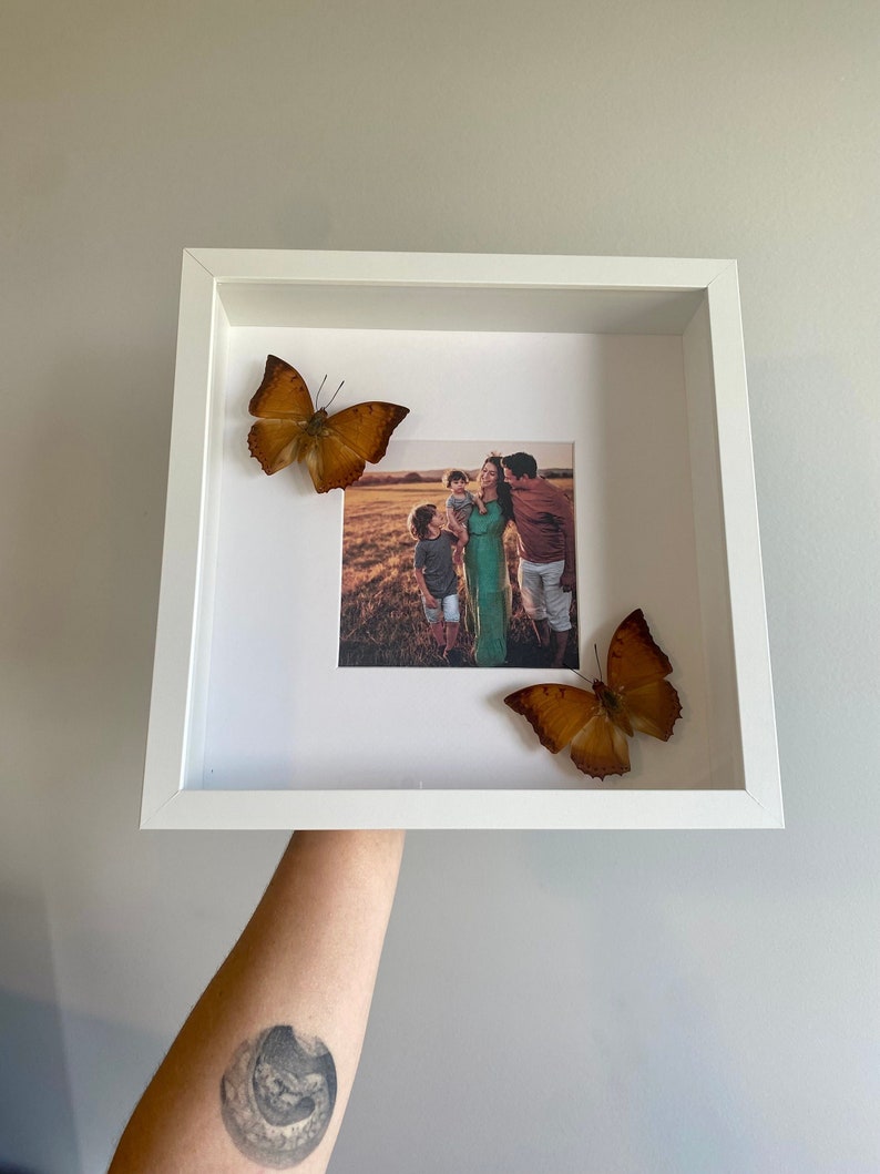 Leafwing Butterfly Photo Frame Personalized Picture Frame - Etsy