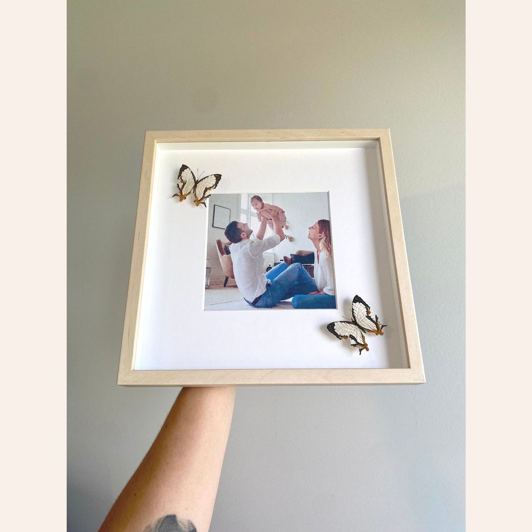 Map-wing Butterfly Picture Frame, Personalize Real Butterfly Photo ...