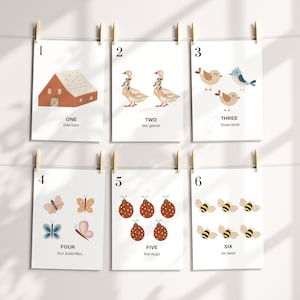 Numbers Flash Cards,educational Cards,montessori Flash Cards,nature ...
