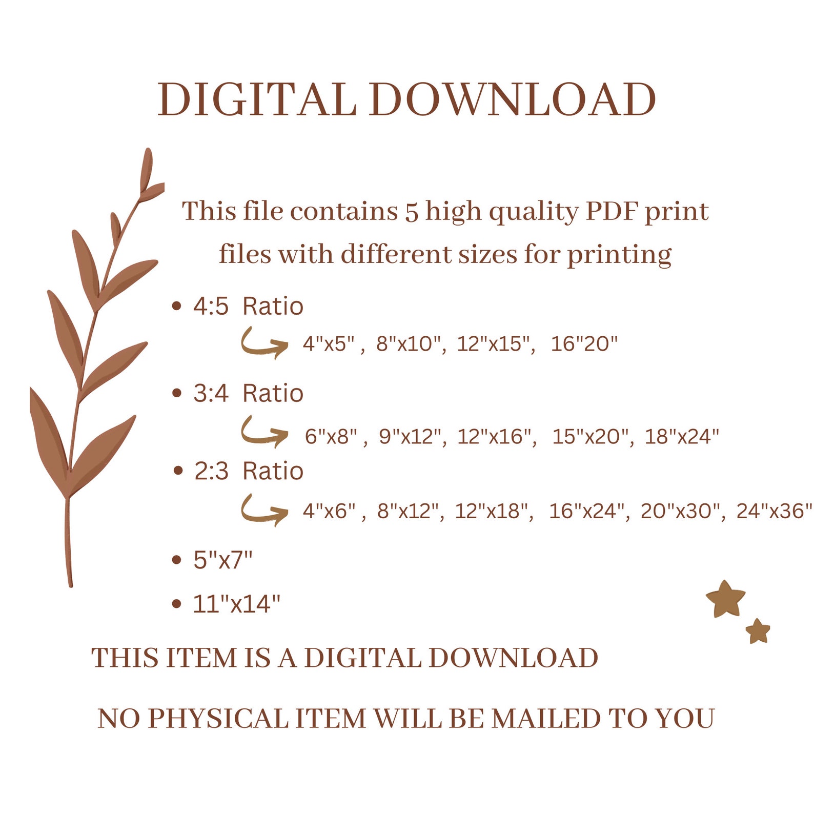 Set of 5 Educational Postershomeschool Printsmontessori - Etsy