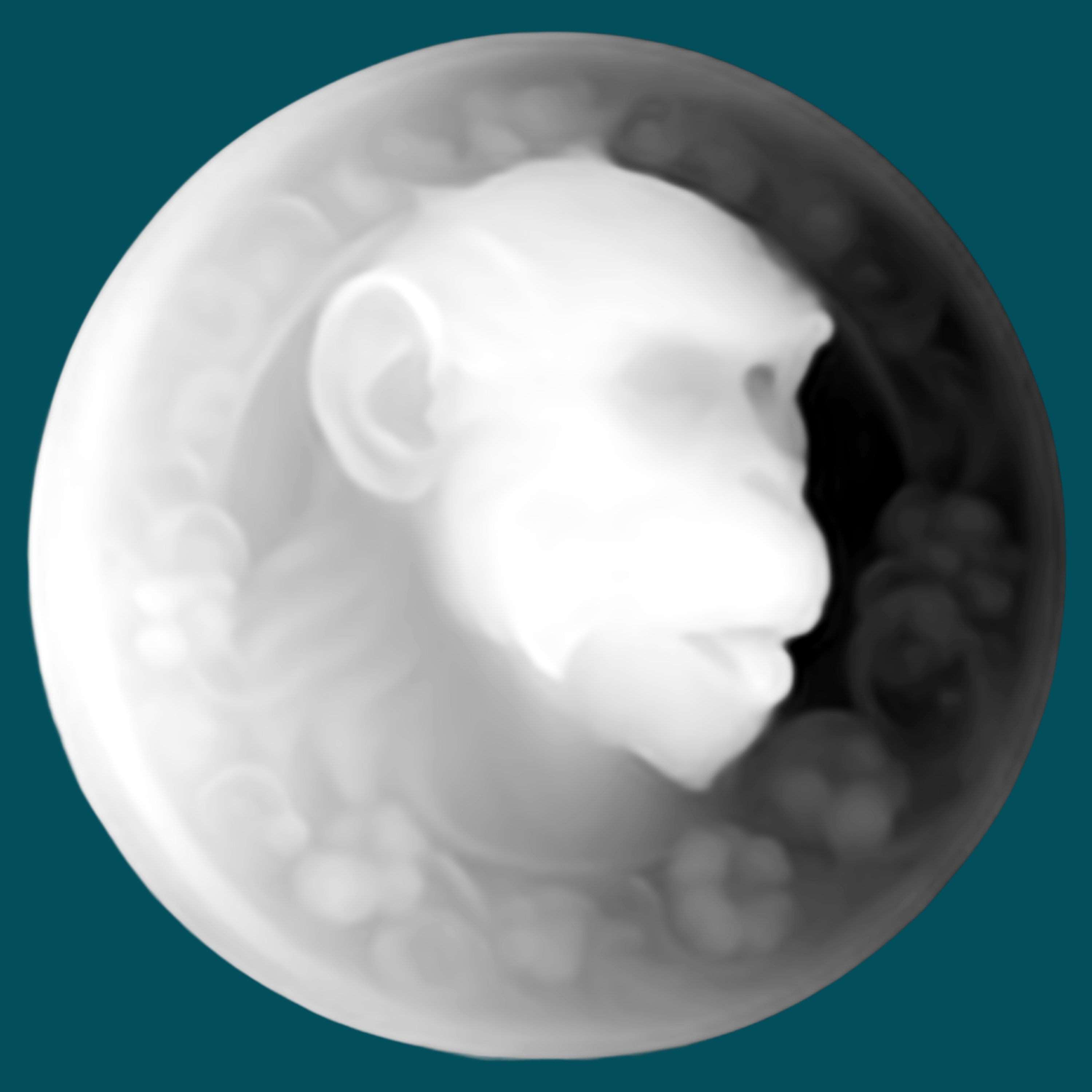 Monkey Coin Depth Map | Height Map | 3D Laser Engrave | Xtool | PNG ...